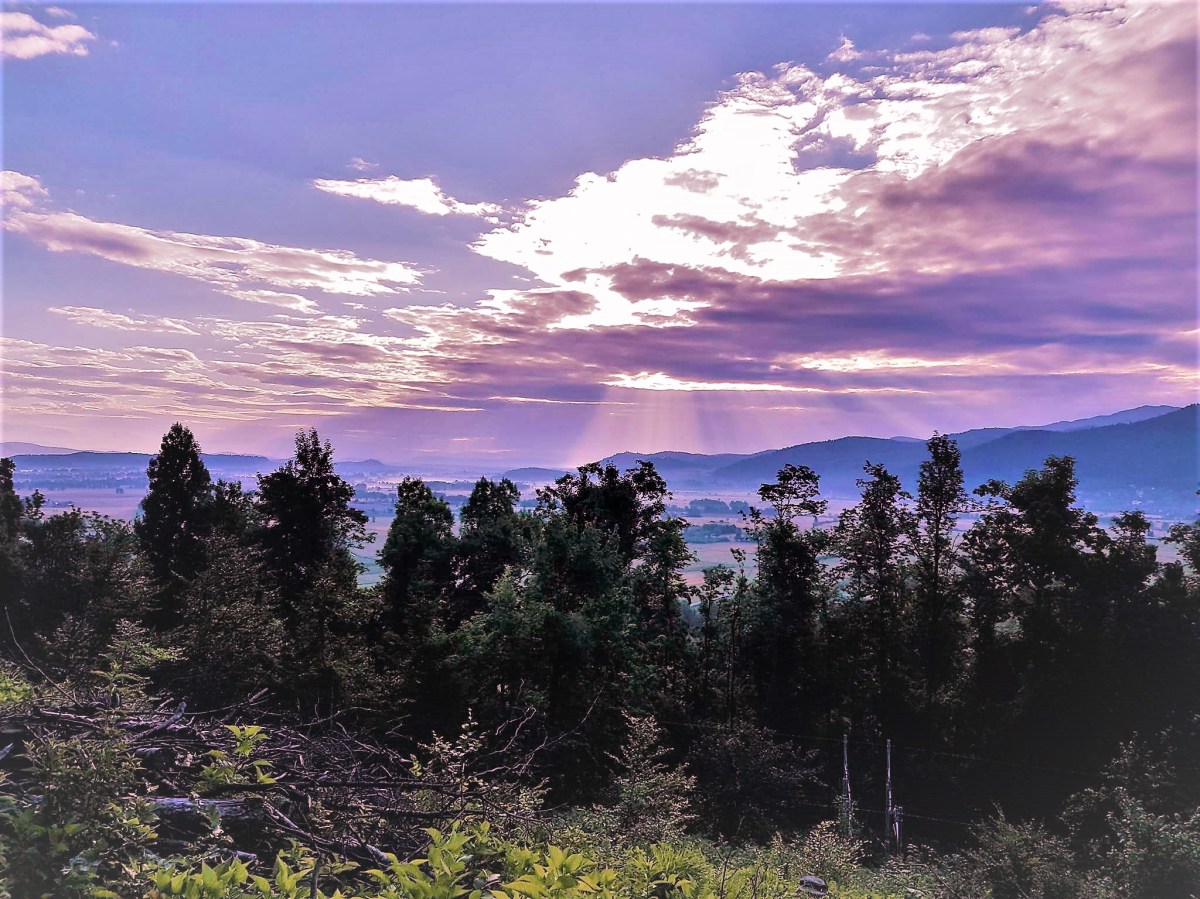 Pilgrim Interview: European Peace Walk | The Camino Provides